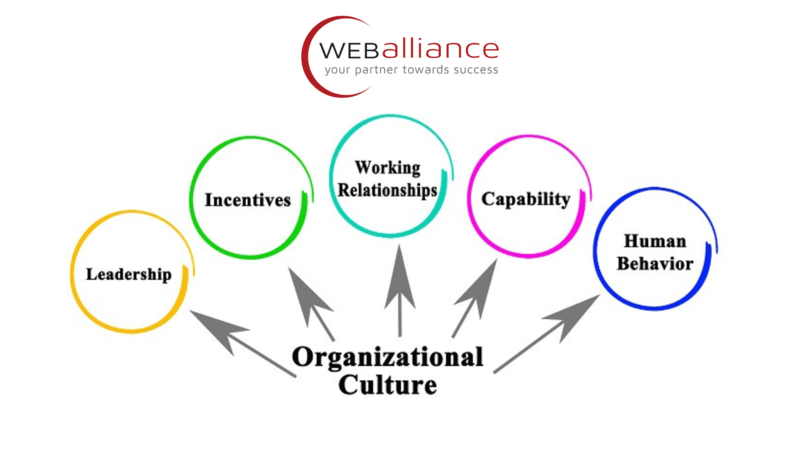 Enhancing Company Culture with Software Solutions with CRM Experts